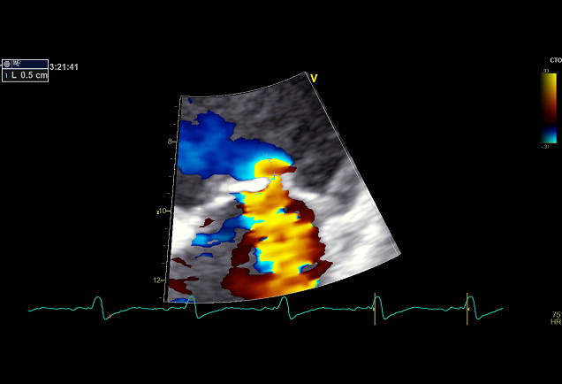 ClinMed International Library