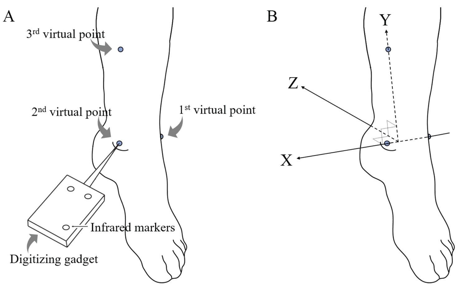 Alignment Free Joint Angles Measurement Using Virtual Reference